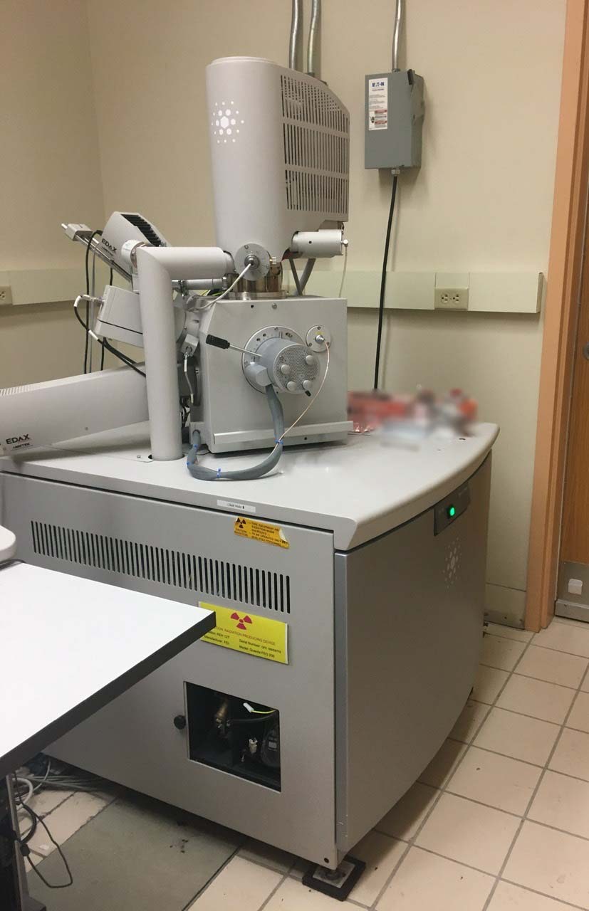 PHILIPS / FEI Quanta 200 SEM 판매 가격 #293764631에 사용됨 > CAE에서 구매