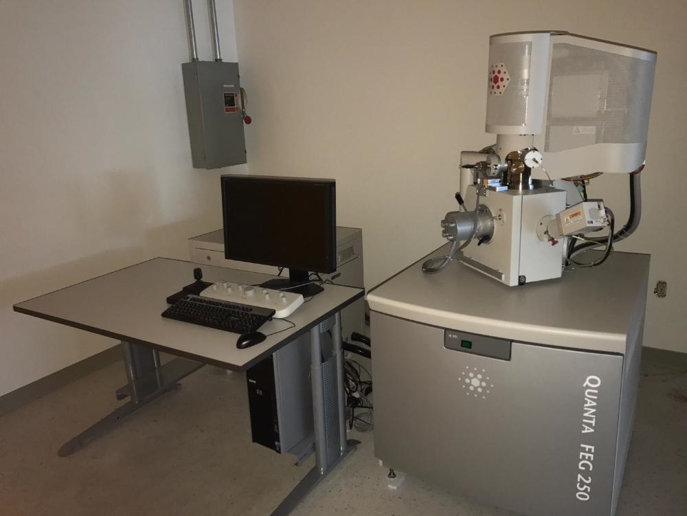 PHILIPS / FEI Quanta 250 FEG SEM 판매 가격 #9200238, 2012에 사용됨 > CAE에서 구매