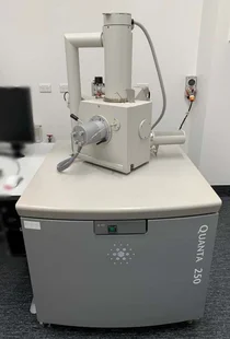 PHILIPS / FEI Quanta 250 SEM 用于销售价格 #293716139, 2009 > 从 CAE 购买