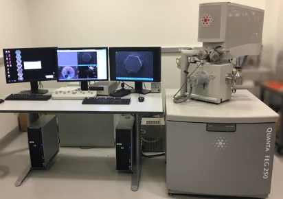 PHILIPS / FEI Quanta 250 SEM 판매 가격 #9195741, 2013에 사용됨 > CAE에서 구매