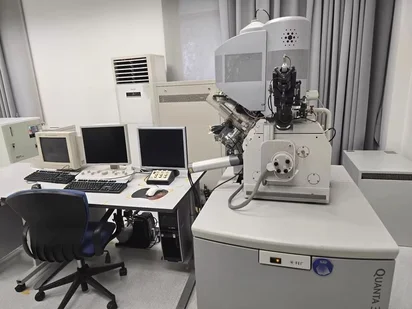 PHILIPS / FEI Quanta 3D FEG SEM used for sale price #293814859 > buy ...