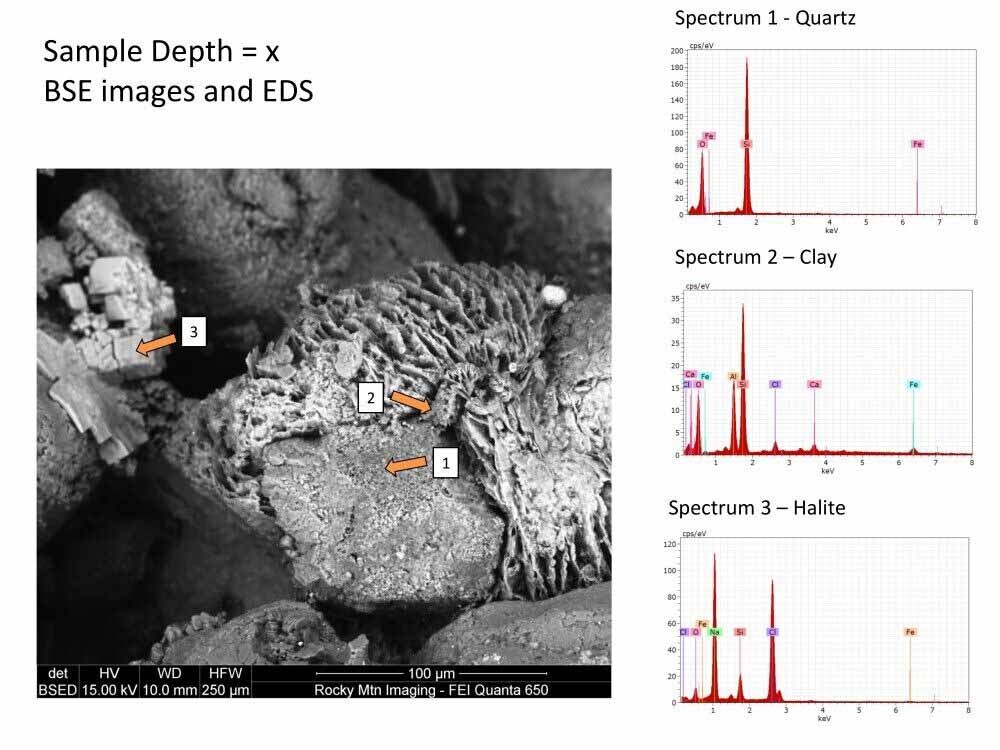PHILIPS / FEI Quanta 650 SEM 익숙한 판매용 가격 #293621244 > 사다 from CAE