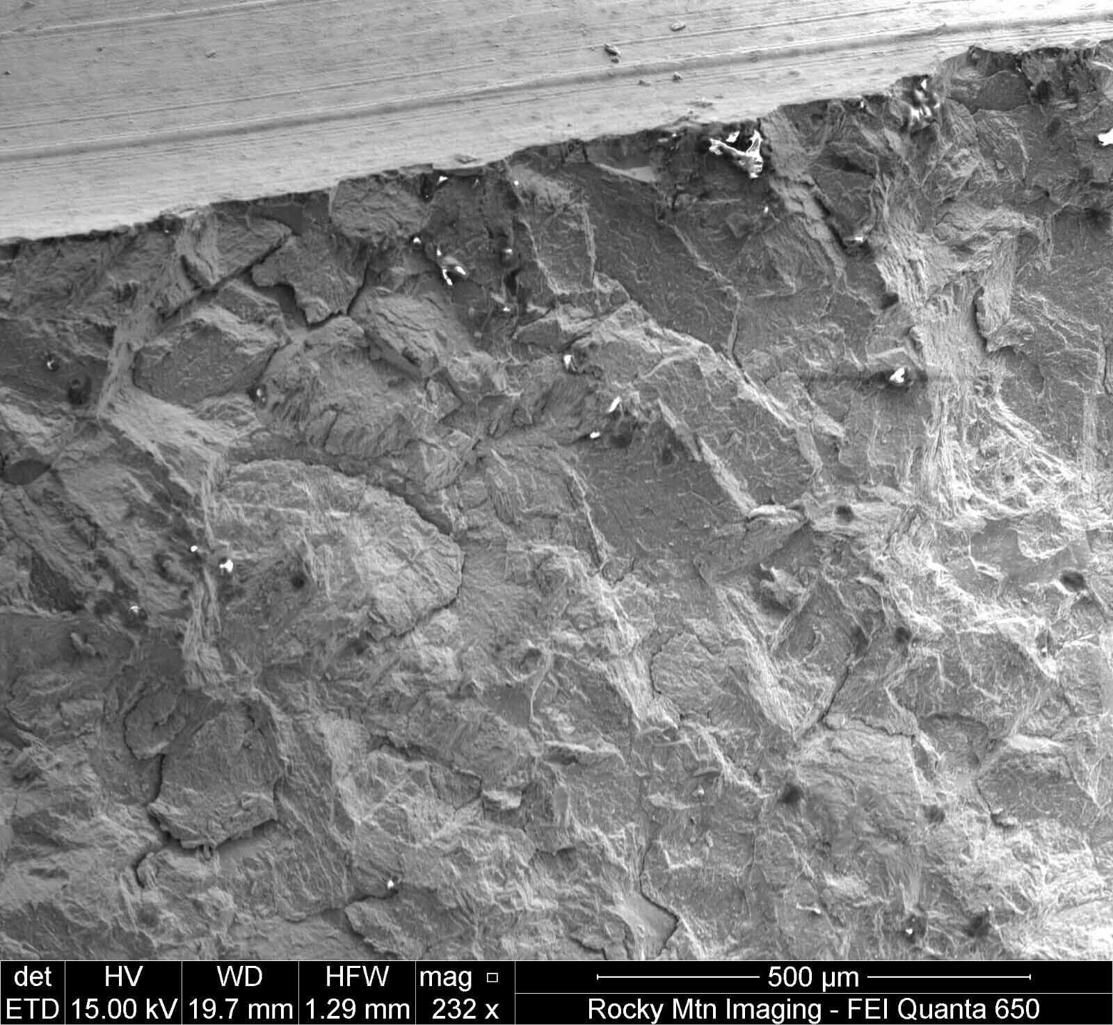 PHILIPS / FEI Quanta 650 SEM 익숙한 판매용 가격 #293621244 > 사다 from CAE