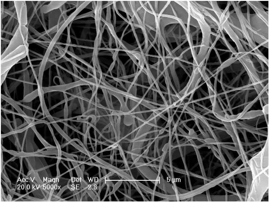 PHILIPS / FEI Sirion 200 SEM used for sale price #293814372, 2003 > buy ...