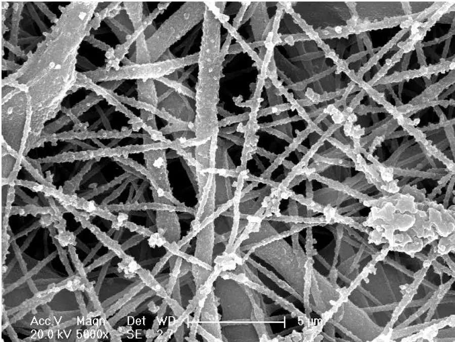 PHILIPS / FEI Sirion 200 SEM used for sale price #293814372, 2003 > buy ...