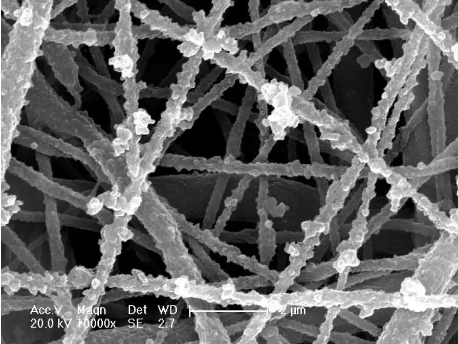 PHILIPS / FEI Sirion 200 SEM used for sale price #293814372, 2003 > buy ...