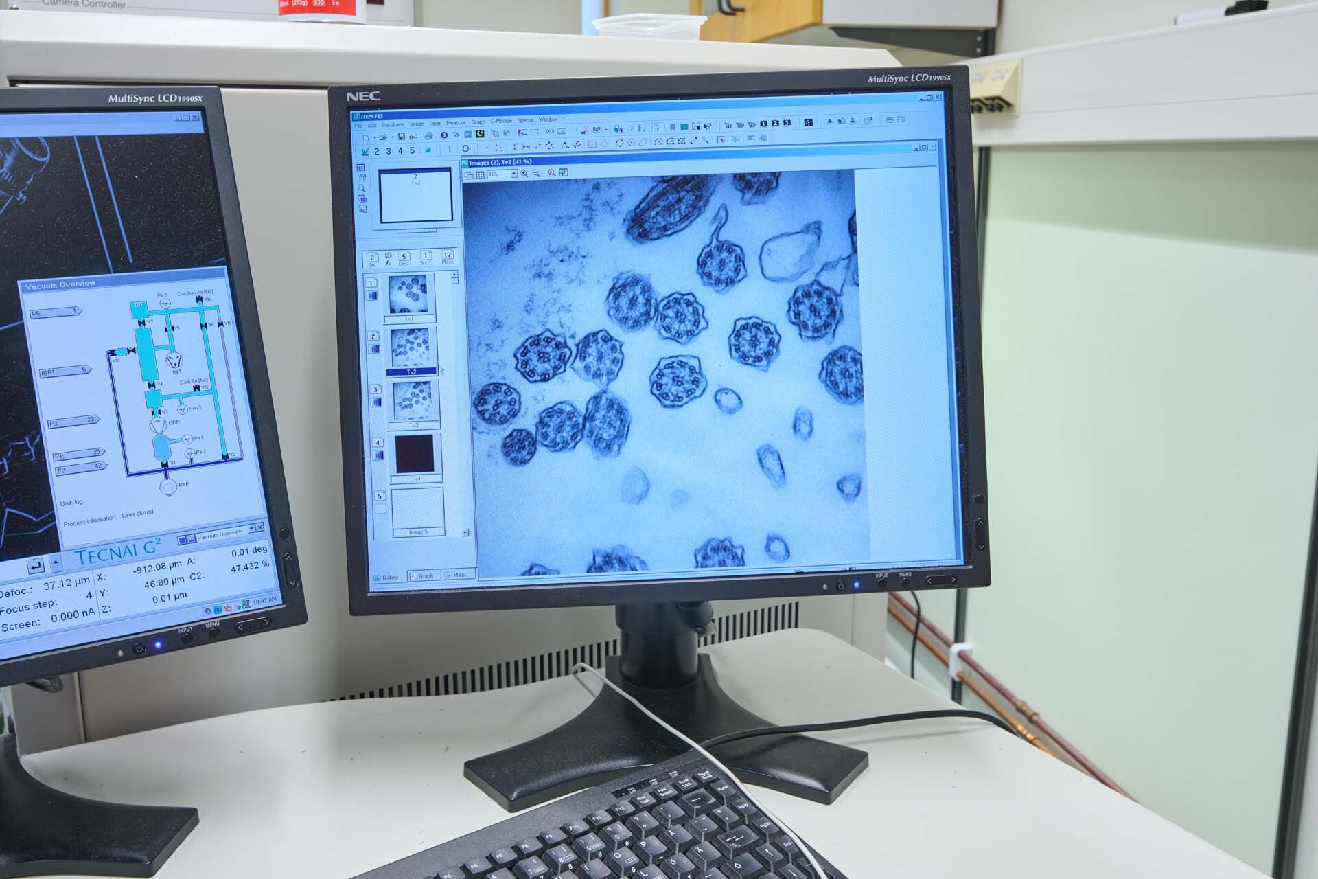 PHILIPS / FEI Tecnai G2 Spirit Bio-Twin SEM Used for sale price ...