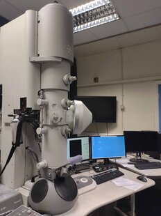PHILIPS / FEI Tecnai TF20 (SCANNING ELECTRON MICROSCOPES) for sale ...