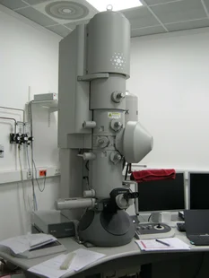 PHILIPS / FEI Tecnai G2 F20 S-Twin SEM used for sale price #293690367 ...