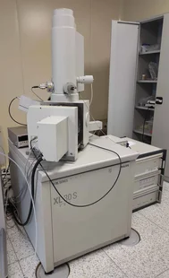 PHILIPS / FEI XL 30 SEM used for sale price #293609690, 1998 > buy from CAE