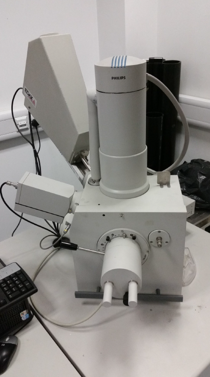 PHILIPS / FEI XL 30 SEM 익숙한 판매용 가격 #9078550, 1996 > 사다 from CAE