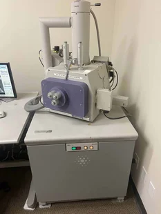 PHILIPS / FEI XL 40 SEM used for sale price #293650284, 2001 > buy from CAE