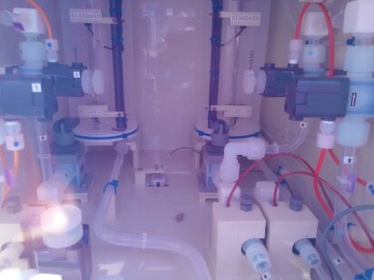 TEL / TOKYO ELECTRON Expedius Wet Station used for sale price #9038418 ...