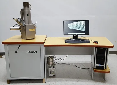 TESCAN VEGA II LSH SEM used for sale price #293618604 > buy from CAE