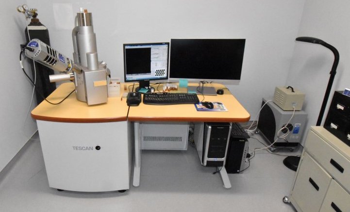 TESCAN VEGA II LSU SEM used for sale price #9361842, 2009 > buy from CAE
