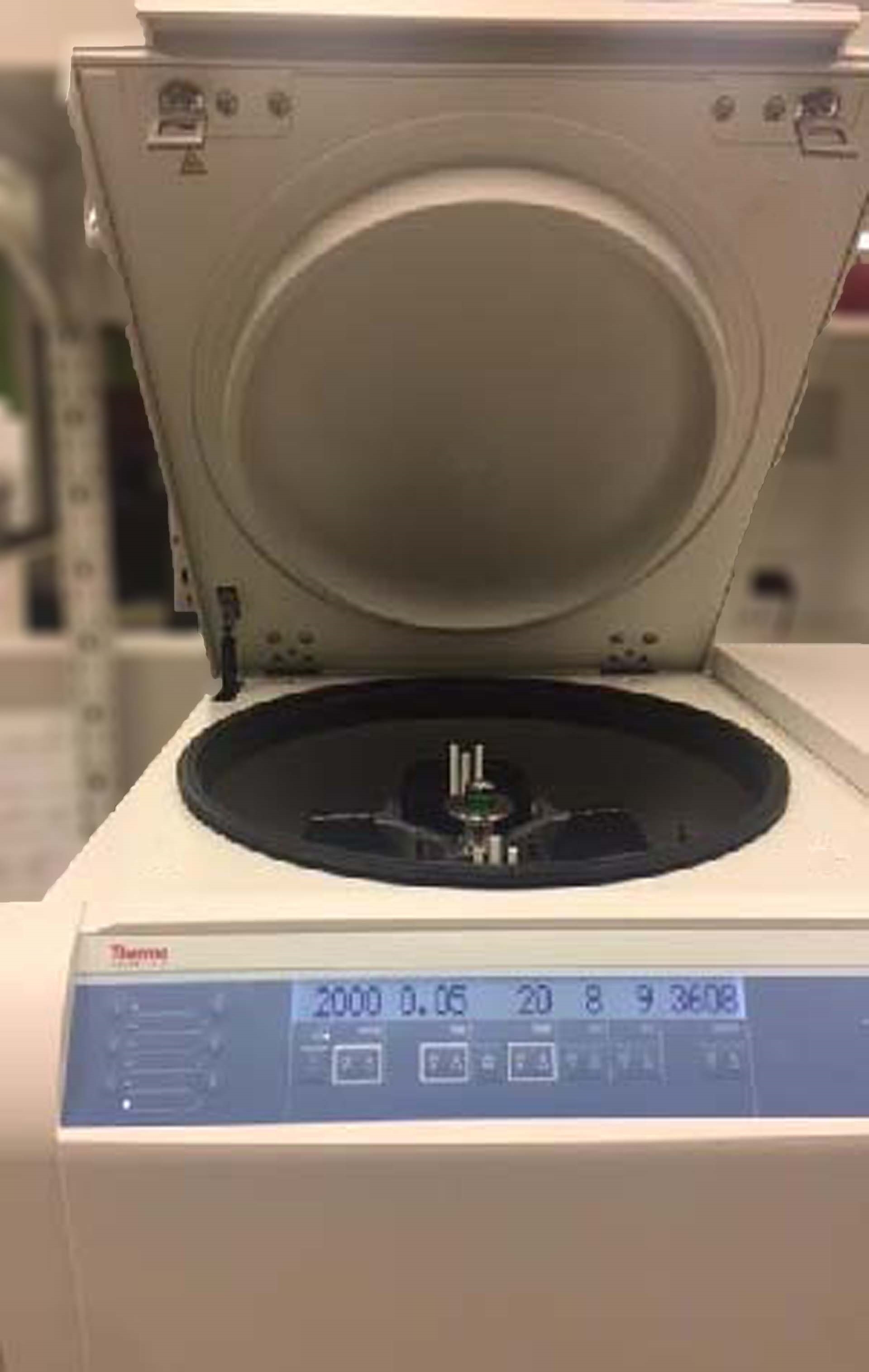 THERMO FISHER SCIENTIFIC / SORVALL ST 40R Centrifuge Used for sale ...