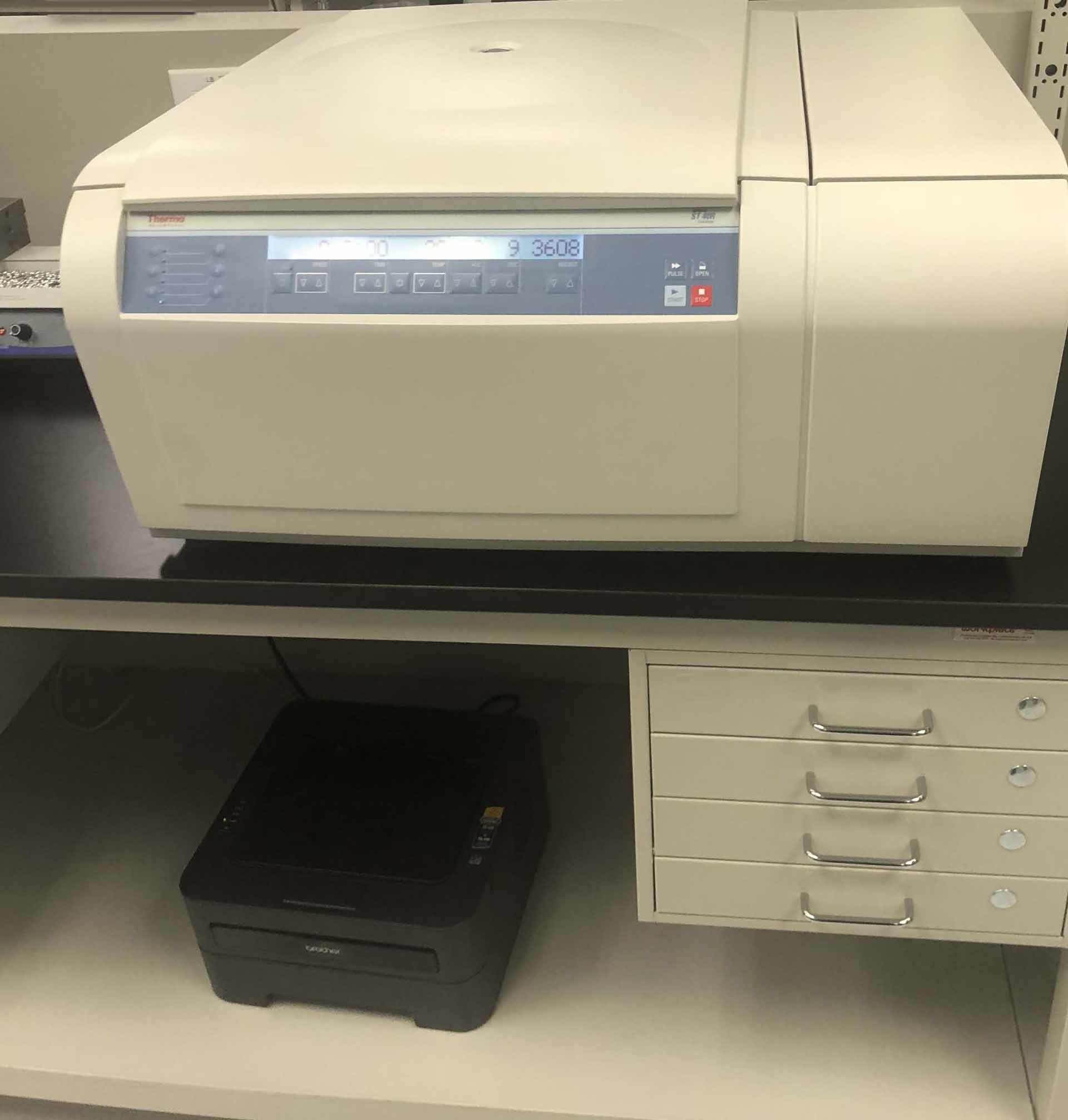 THERMO FISHER SCIENTIFIC / SORVALL ST 40R Centrifuge Used for sale ...