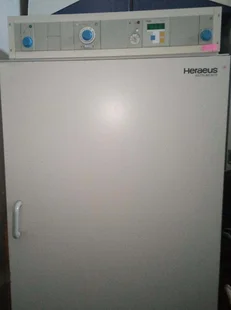 THERMO SCIENTIFIC / HERAEUS / KENDRO UT 6420 Oven / Furnace used for ...