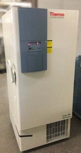 THERMO SCIENTIFIC Forma 904 Chamber used for sale price #293658394 ...