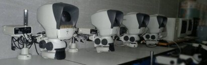 VISION ENGINEERING TS3 Dynascope Microscope used for sale price ...