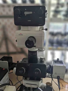 WILD / LEICA / VISTEC MPS52 Microscope used for sale price #293659930 ...