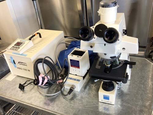 ZEISS Axioskop 50 현미경 판매 가격 #293769038에 사용됨 > CAE에서 구매