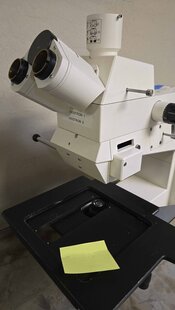 ZEISS Axiotron Microscope used for sale price #293775962 > buy from CAE