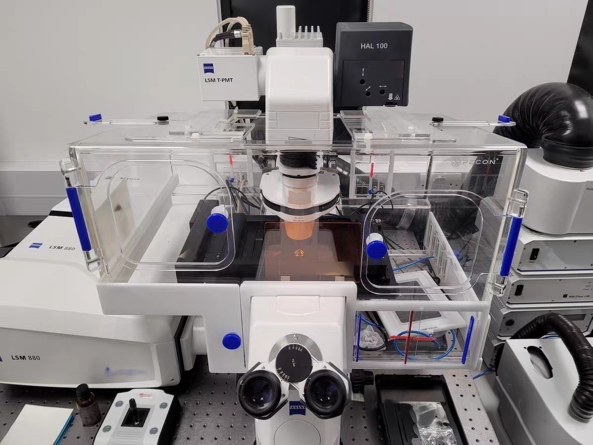 ZEISS LSM 880 Microscope used for sale price #293811084 > buy from CAE