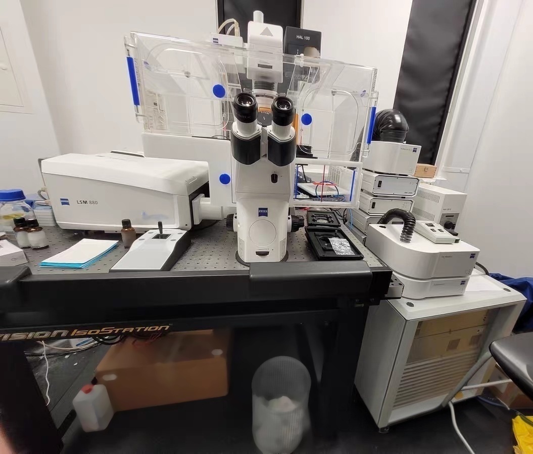 ZEISS LSM 880 Microscope used for sale price #293811084 > buy from CAE